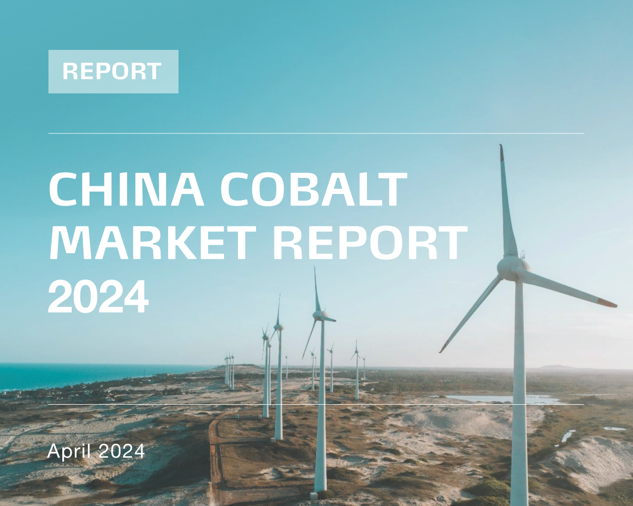 China Cobalt Market Report 2024 - Cobalt Institute