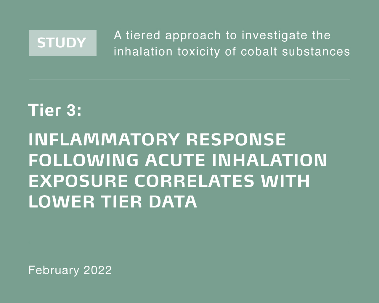 A tiered approach to investigate the inhalation toxicity of cobalt ...
