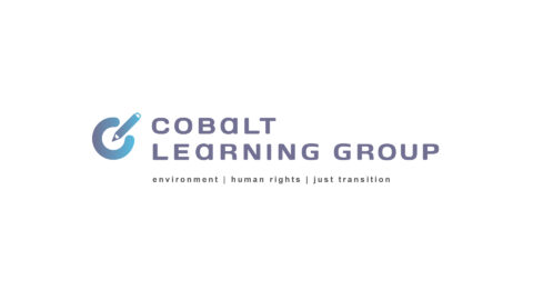 Cobalt Learning Group - Cobalt Institute
